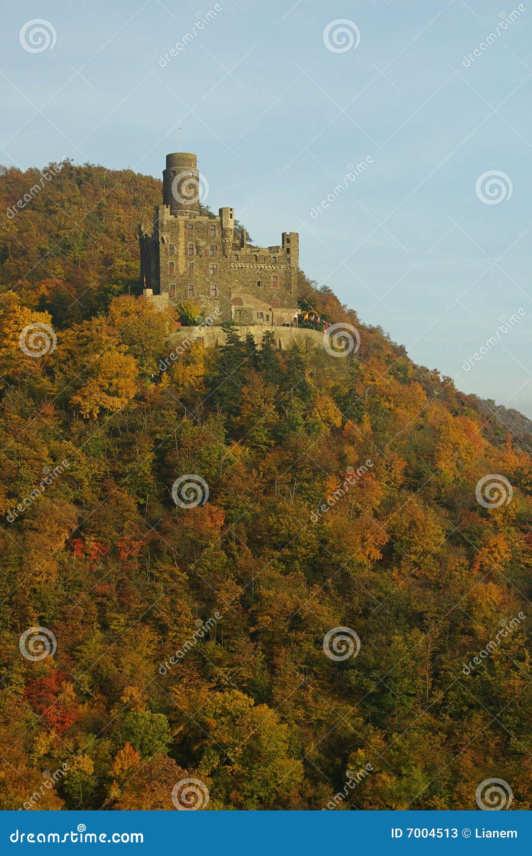 Mouse Castle stock image. Image of historic, rheingau - 7004513
