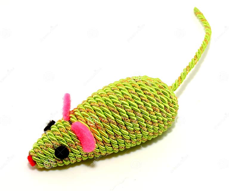 Mouse cat stock photo. Image of lifestyle, hamster, mouse - 31642132