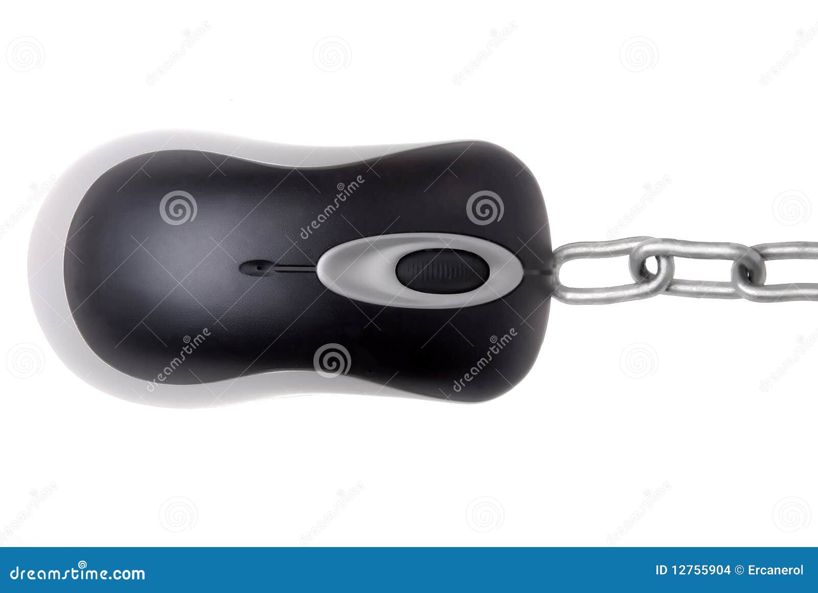 Mouse with chain stock photo. Image of metal, stopping - 12755904