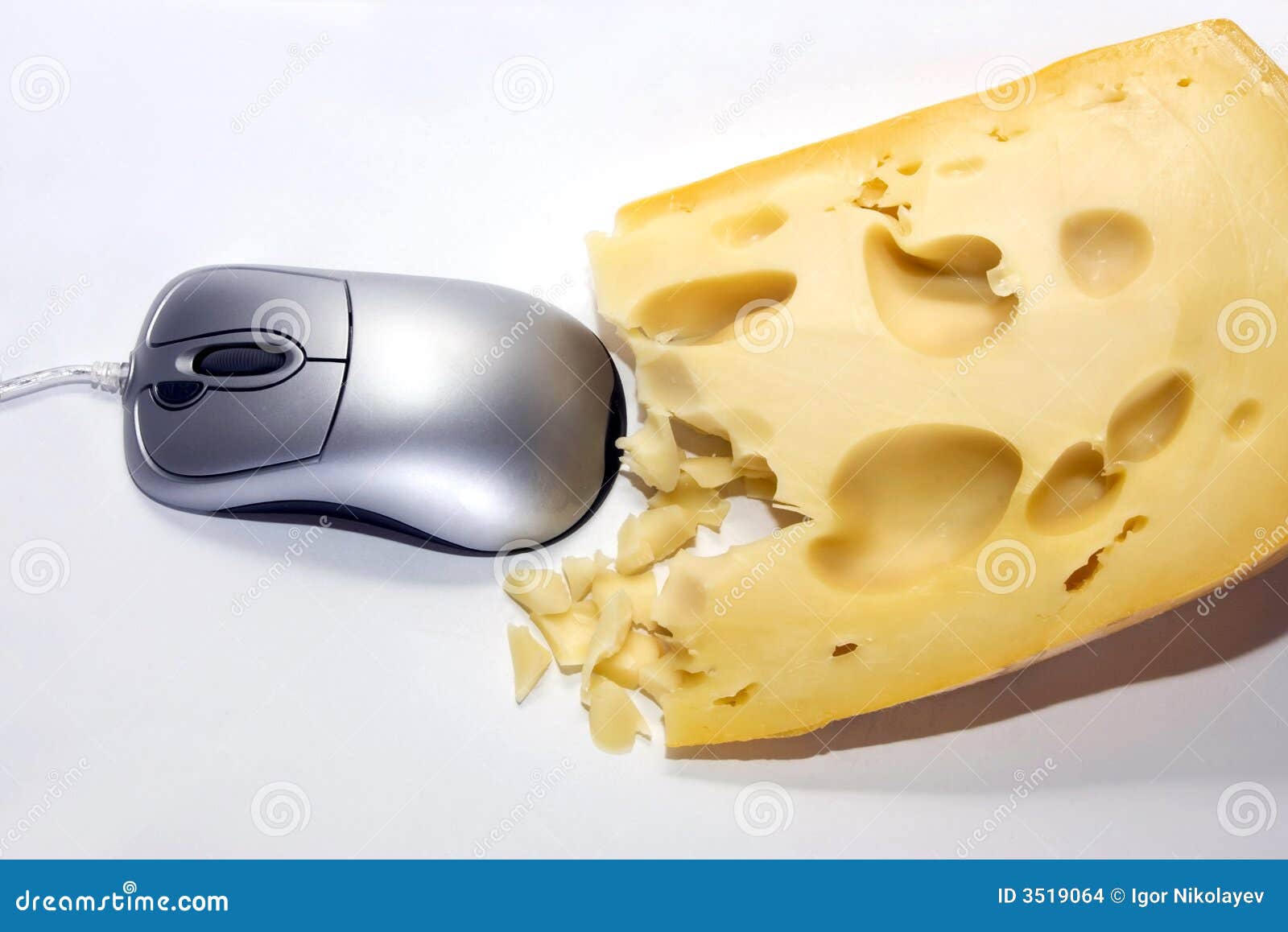 Mouse and cheese stock photo. Image of 2008, computer - 3519064