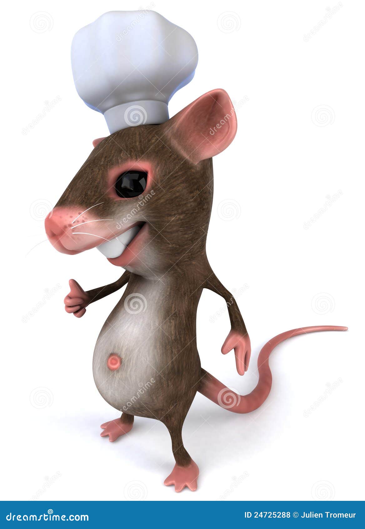 Mouse chef stock illustration. Illustration of cook, small - 24725288
