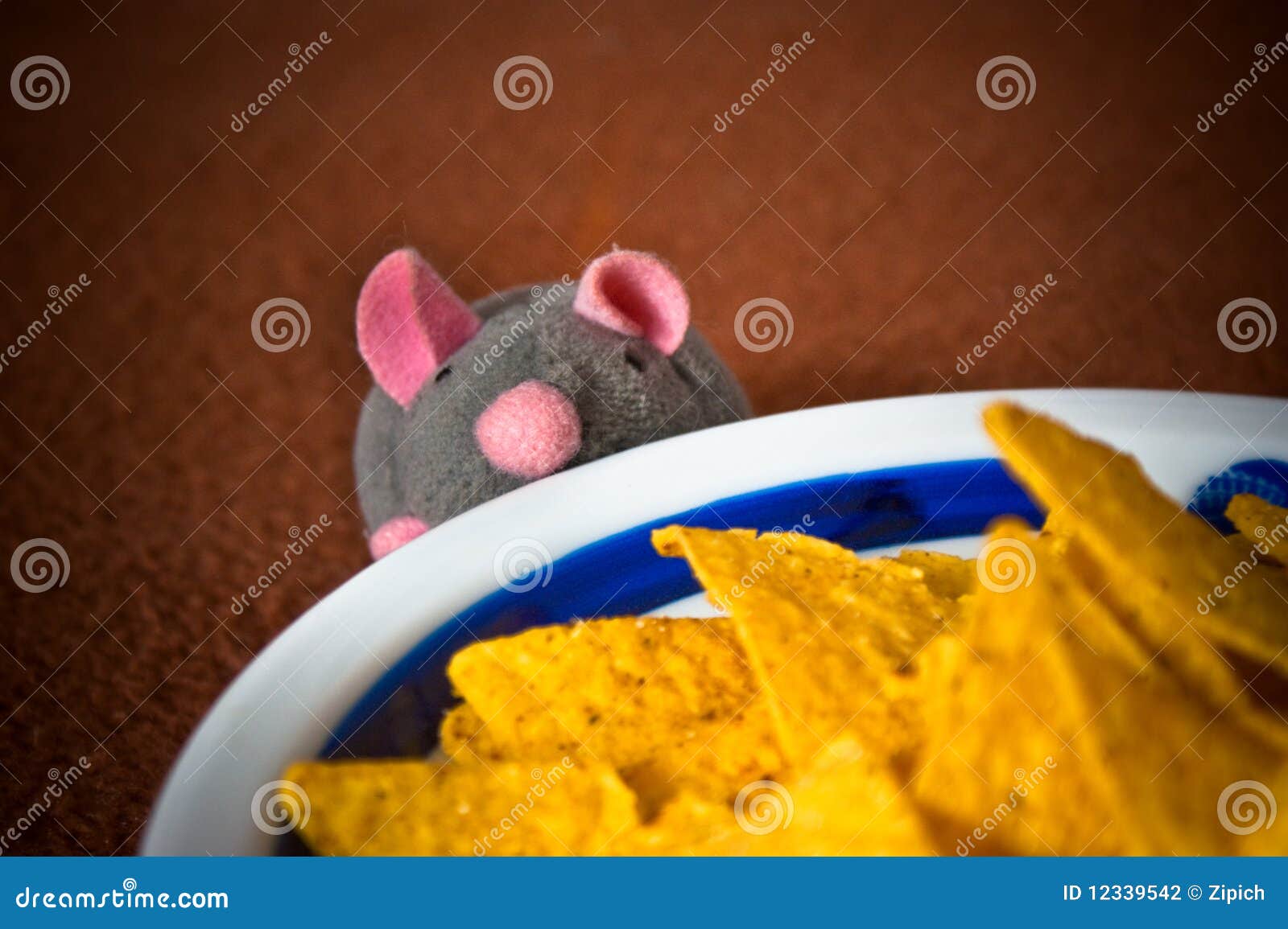 Mouse and chips stock photo. Image of eating, funny, chips - 12339542