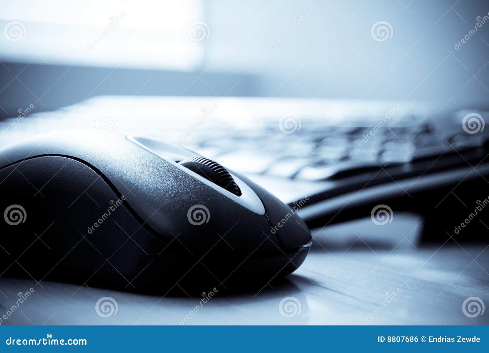 Mouse closeup stock photo. Image of technology, close - 8807686