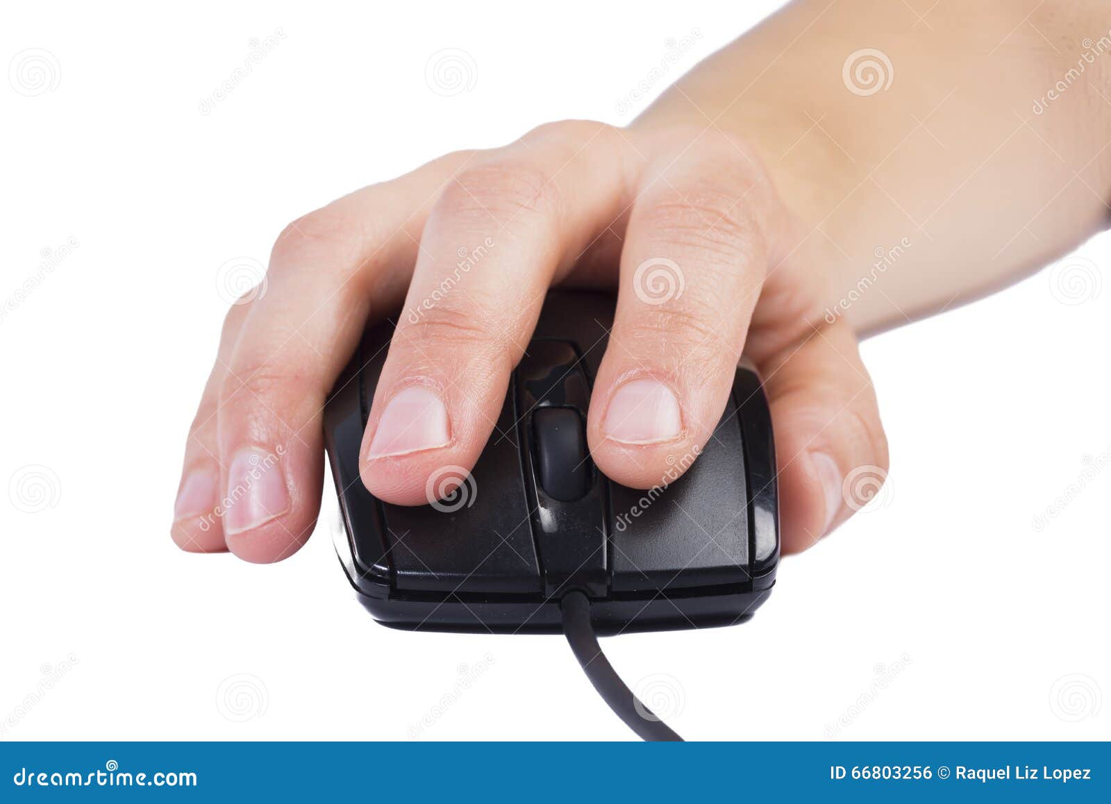 Mouse. stock photo. Image of meshconnex, project, hand - 66803256