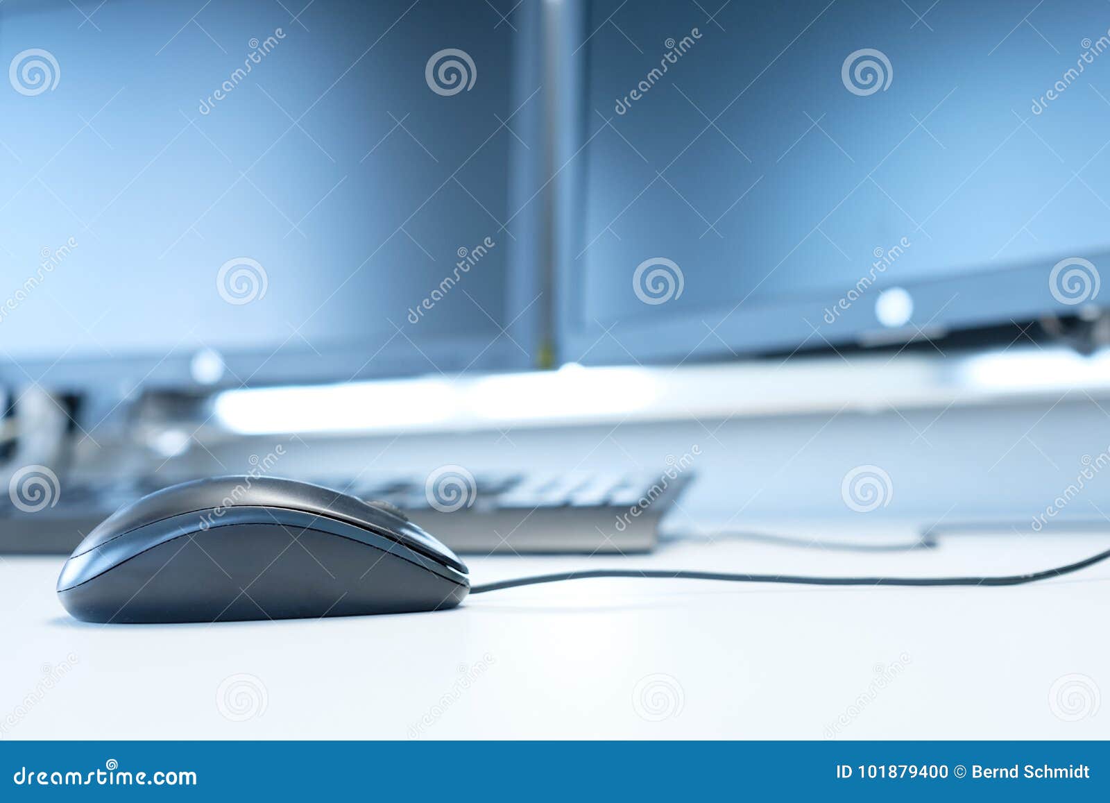 Mouse at a Computer with Monitors Stock Photo - Image of cable, bokeh ...