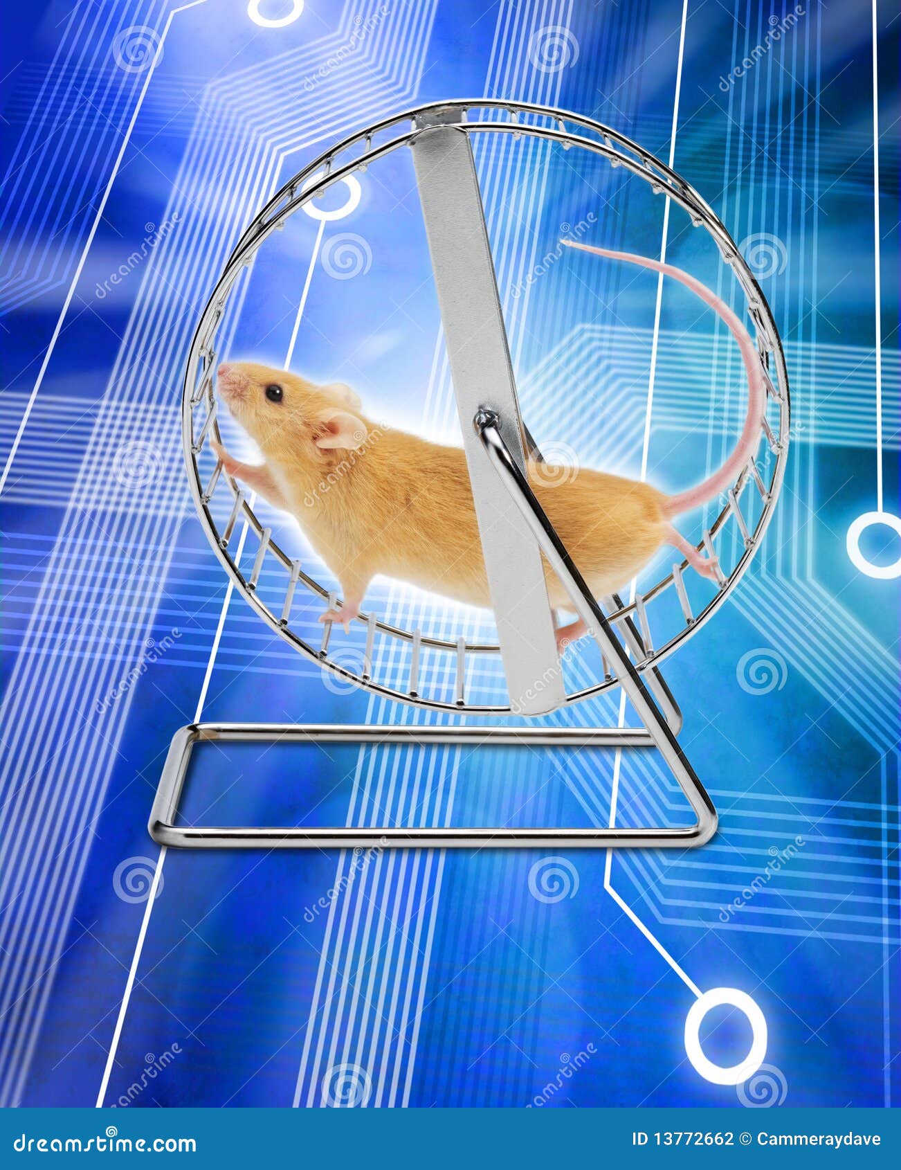 Mouse Computer Exercise Wheel Gig Economy Stock Photo - Image of ...