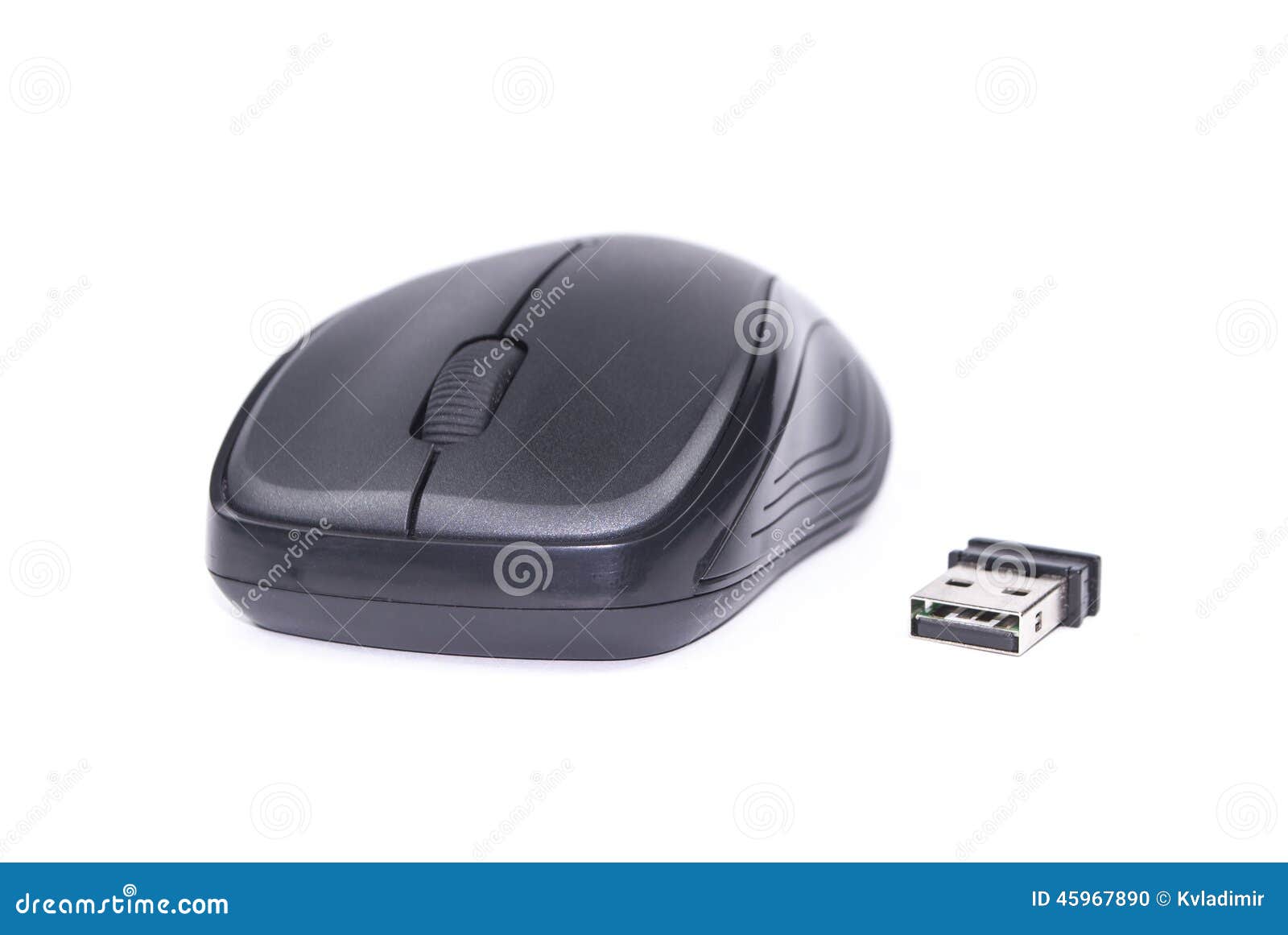 The mouse stock photo. Image of black, select, male, main - 45967890