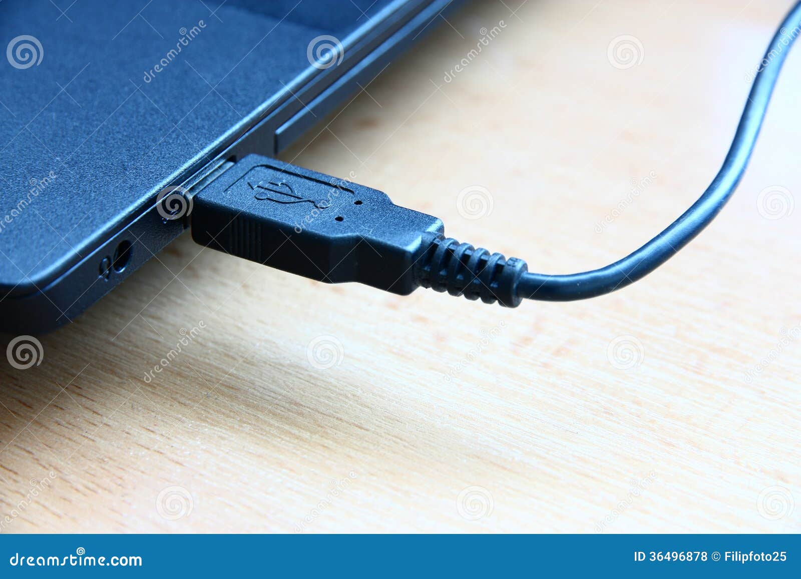 Mouse connection stock photo. Image of human, cable, connect - 36496878