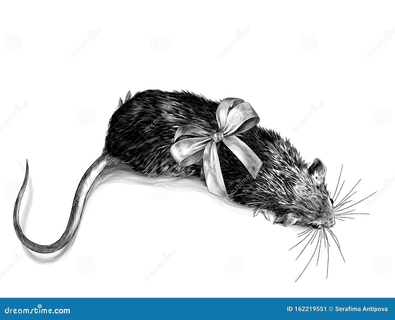 Mouse Crawling with Bow on Torso Top View Stock Vector - Illustration ...