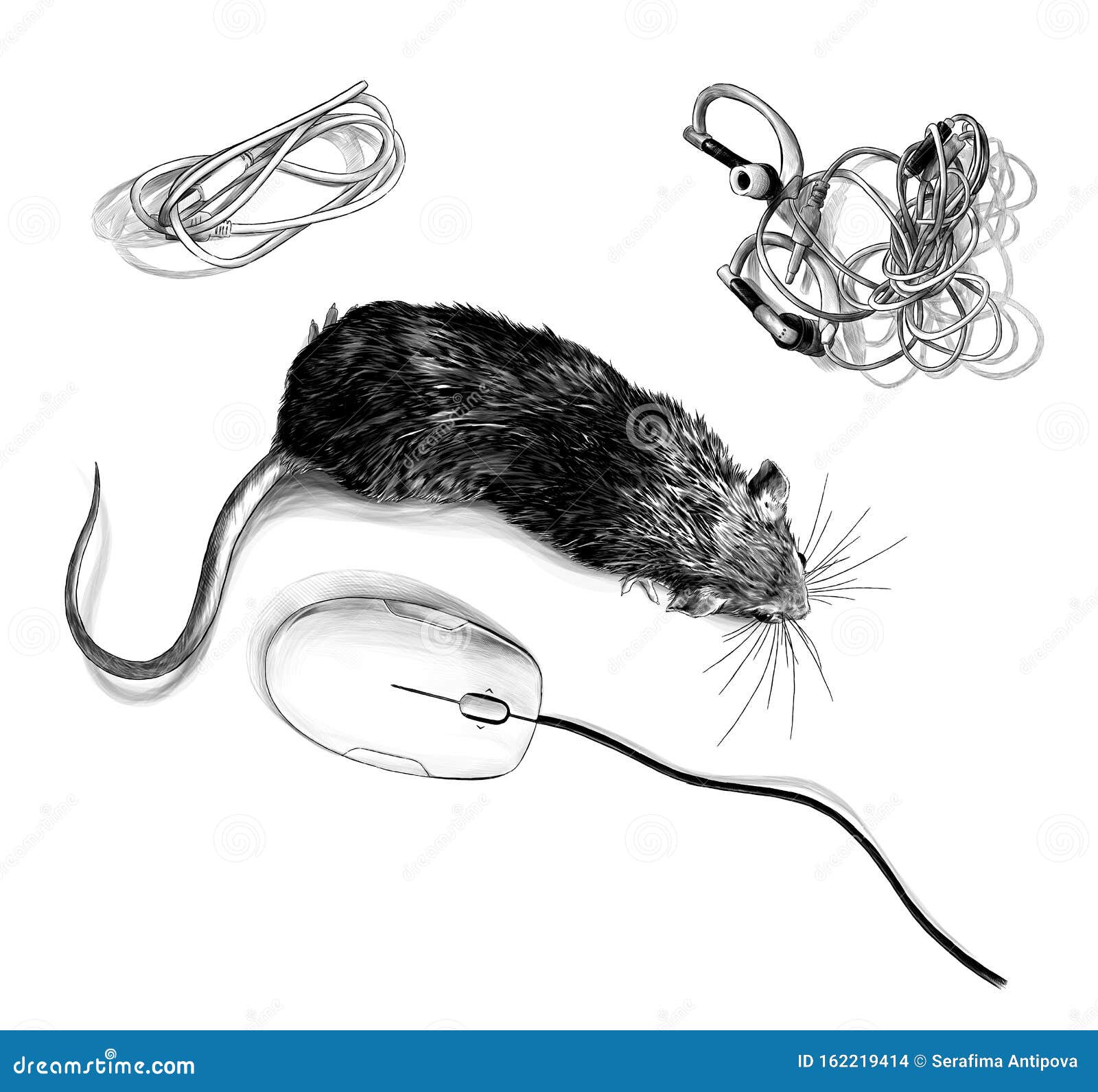 Mouse Crawling on Table with Computer Mouse, Wires and Charger Top View ...