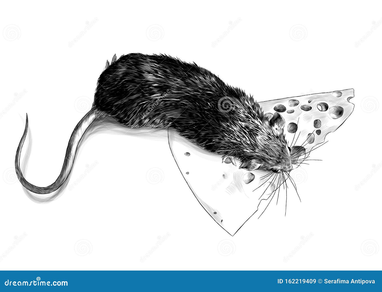 Mouse Crawling on a Triangular Piece of Cheese Top View Stock Vector ...