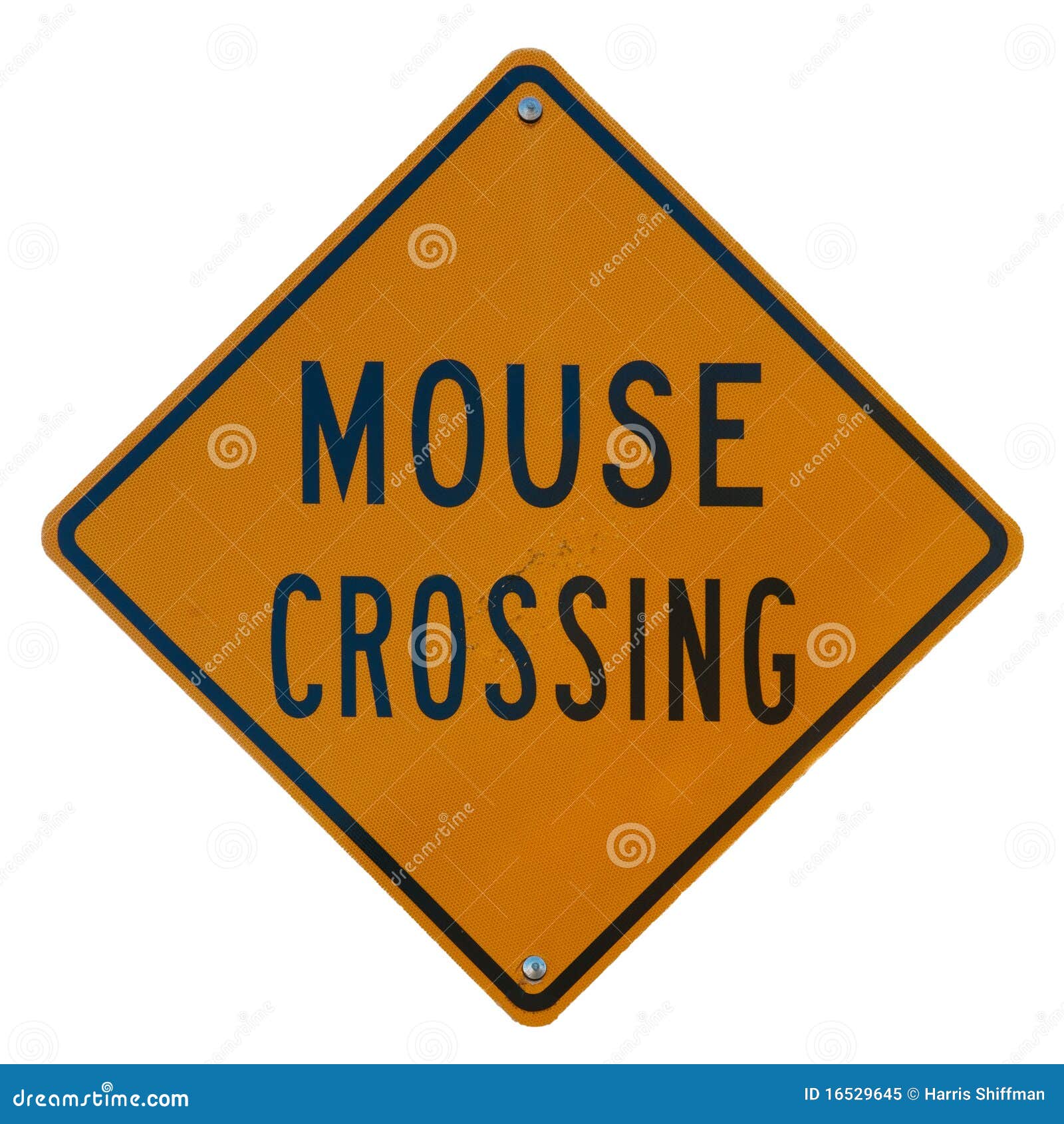 Mouse Crossing stock image. Image of white, rodent, mouse - 16529645
