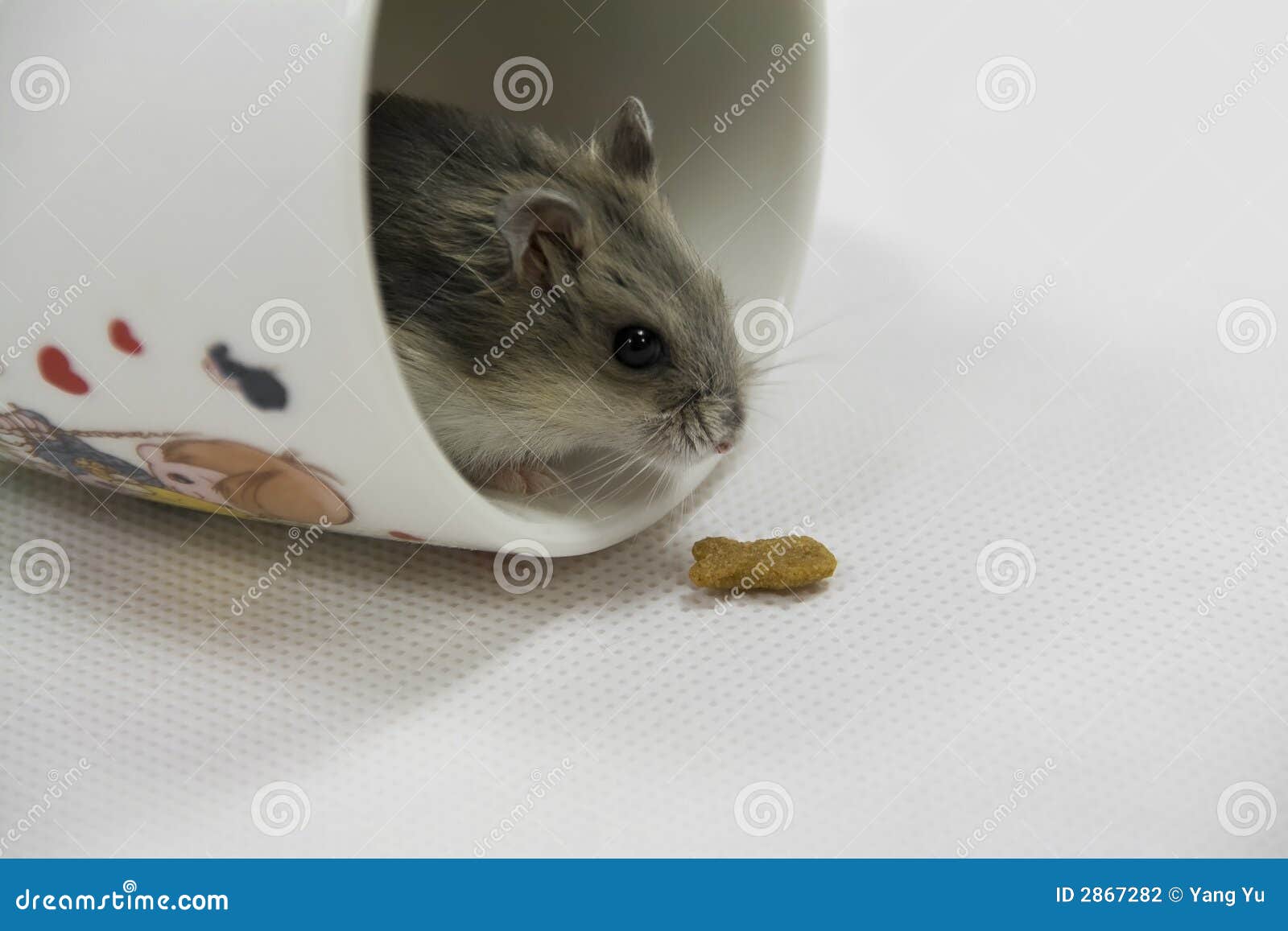 Mouse in cup stock photo. Image of domestic, scared, cute - 2867282