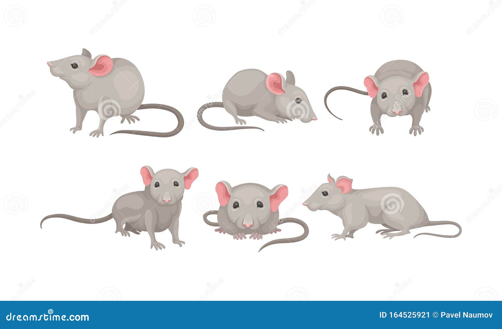 Different Rodent Animals Painted Set. Hand Drawn Various Rodents ...