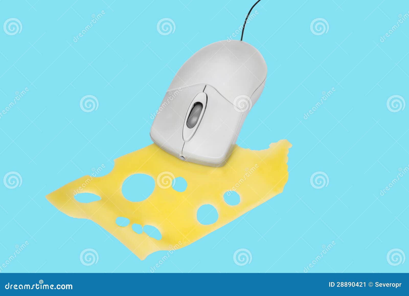 Mouse eating cheese stock image. Image of windows, mouse - 28890421