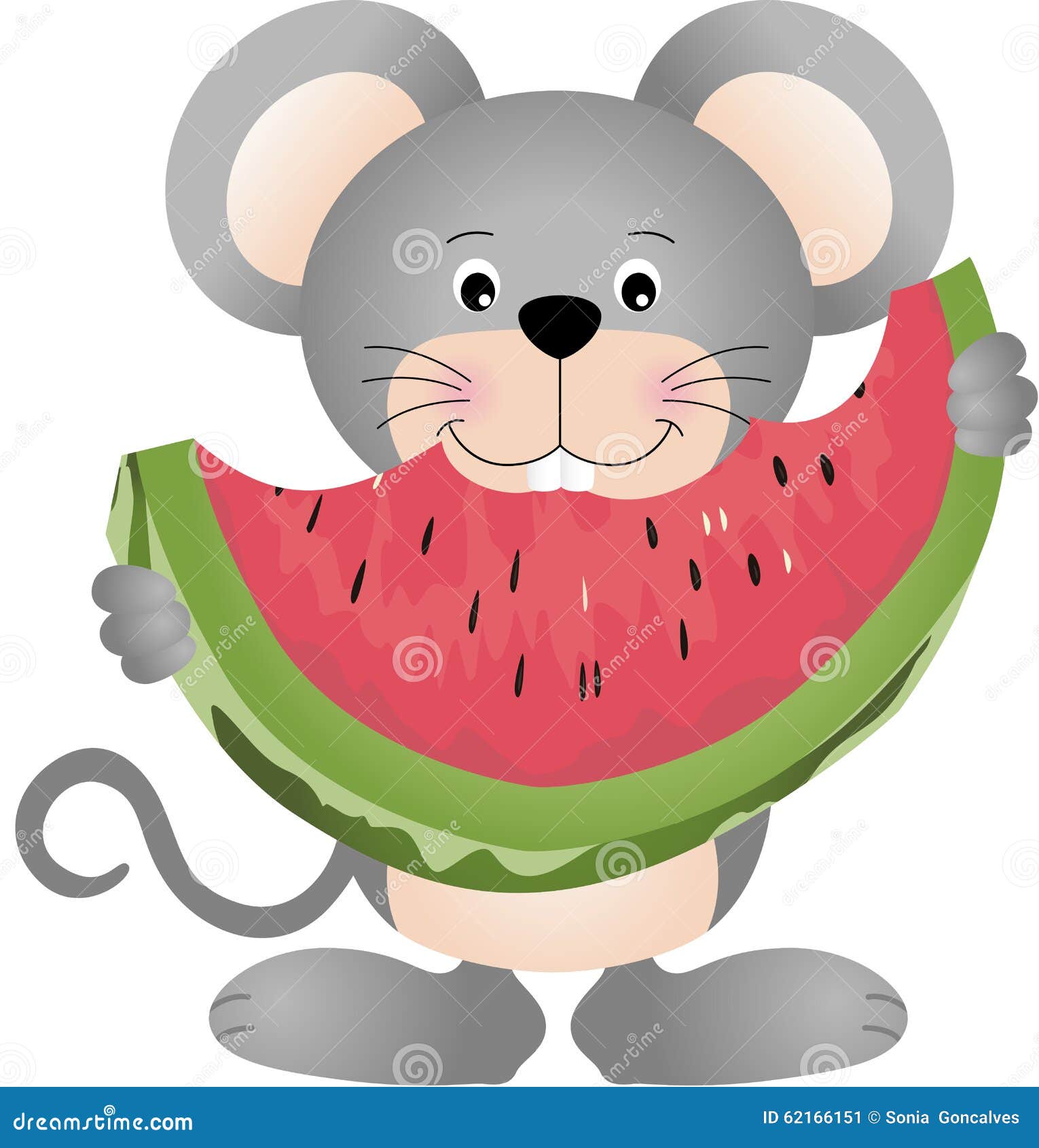 Mouse eating watermelon stock vector. Illustration of fresh - 62166151