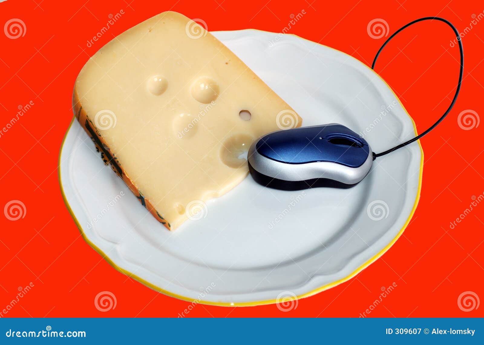 Mouse it eats cheese stock image. Image of alone, business - 309607