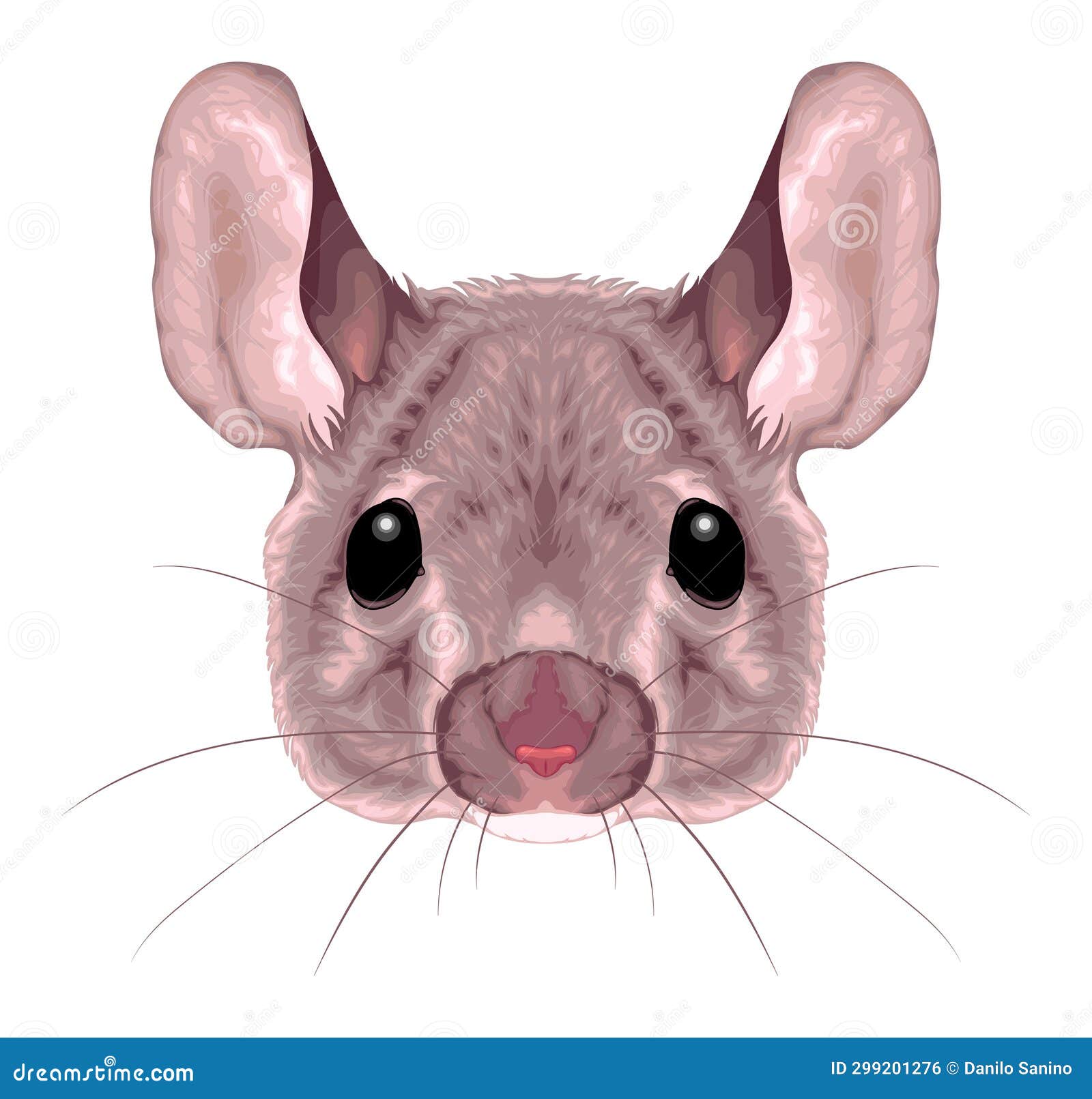 Mouse Frontal View, Vector Isolated Animal Stock Illustration ...