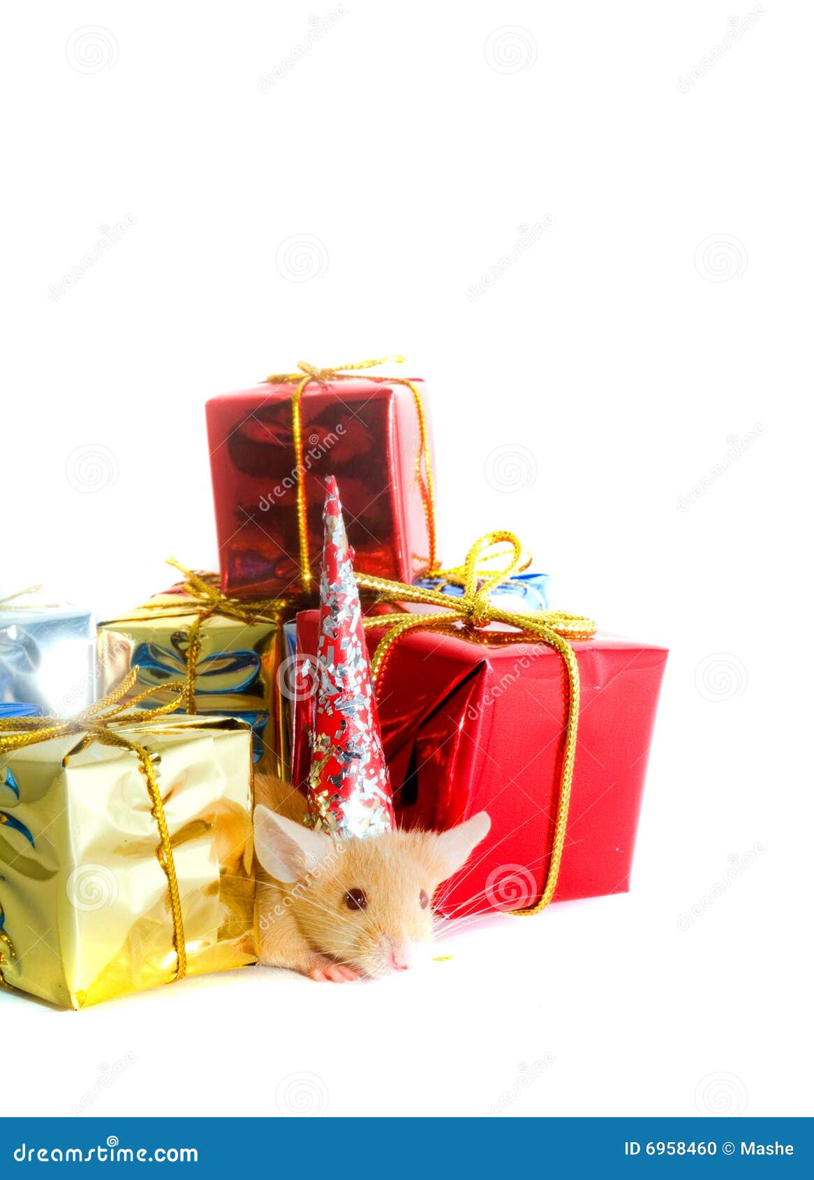 Mouse with gift boxes stock photo. Image of decorate, hamster - 6958460