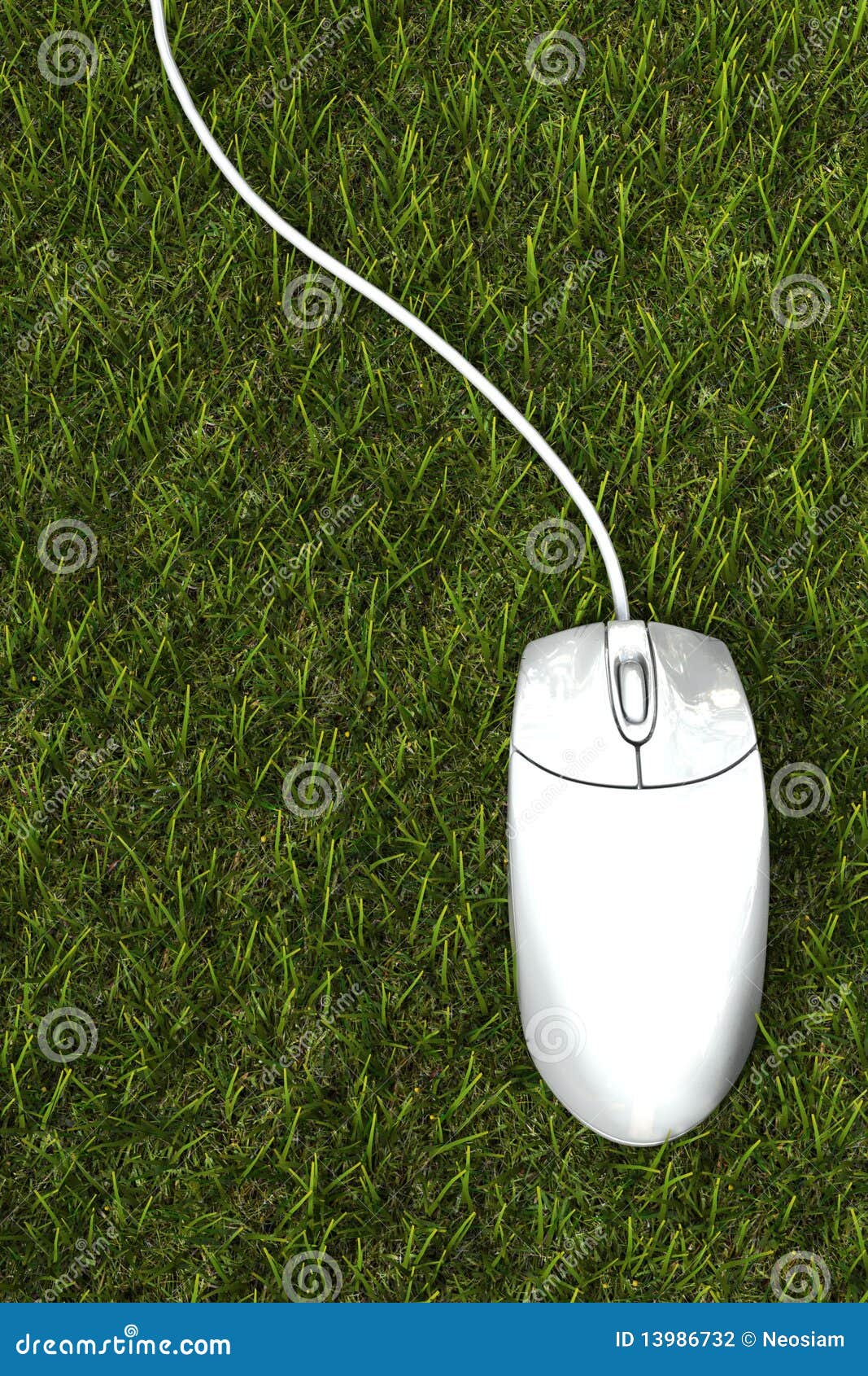 Mouse on the grass stock photo. Image of concept, technology - 13986732