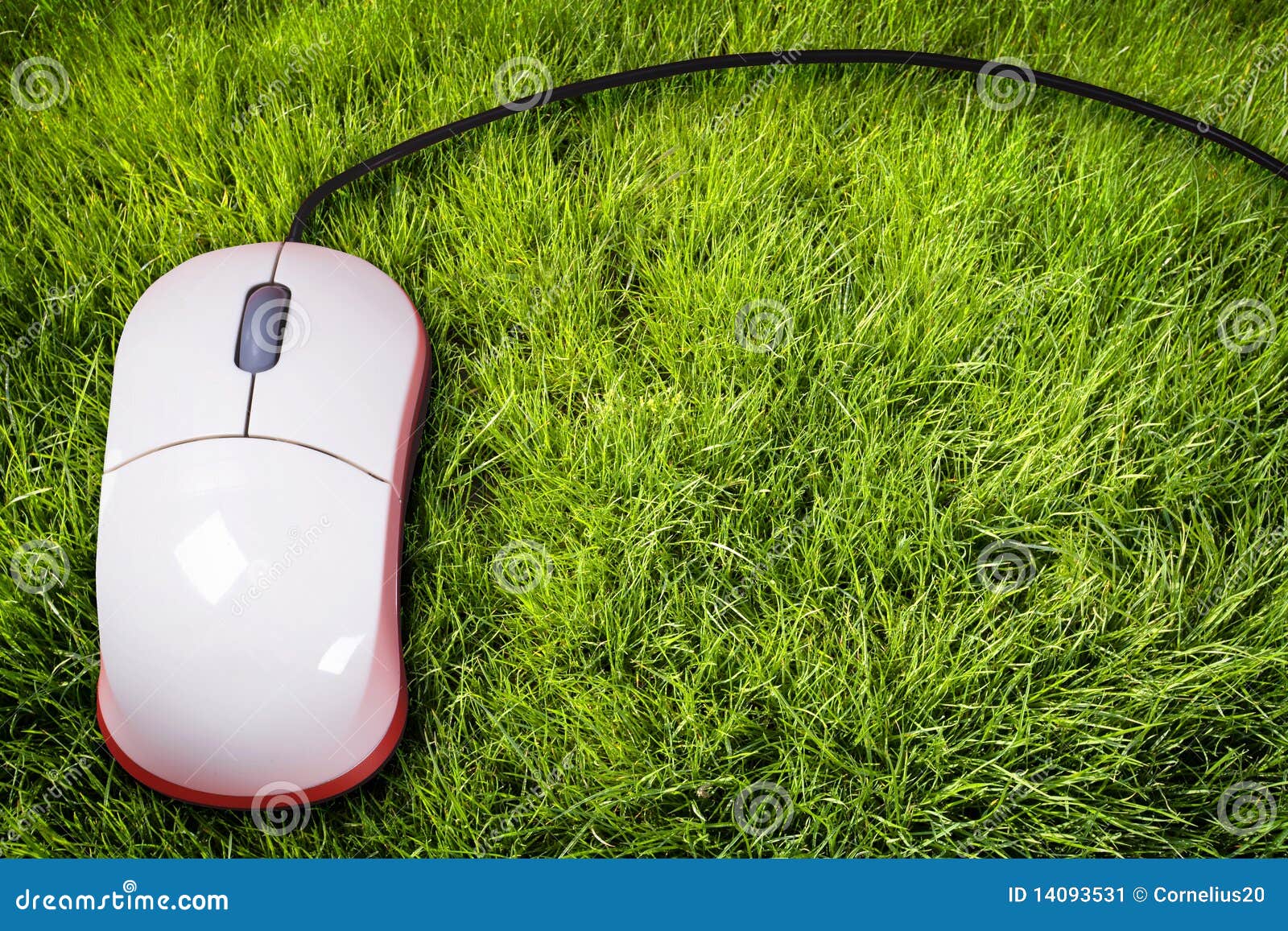 Mouse on grass stock image. Image of connection, color - 14093531