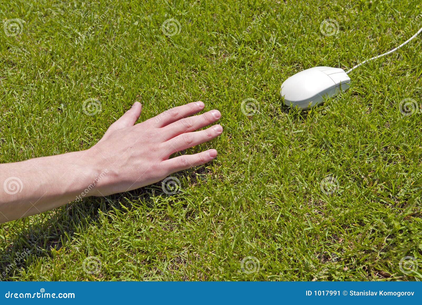 Mouse and hand. stock image. Image of scrolling, scenic - 1017991