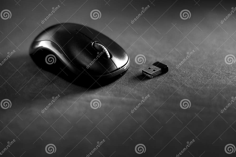The Mouse is a Hardware Device on the Computer, Which is Useful for ...