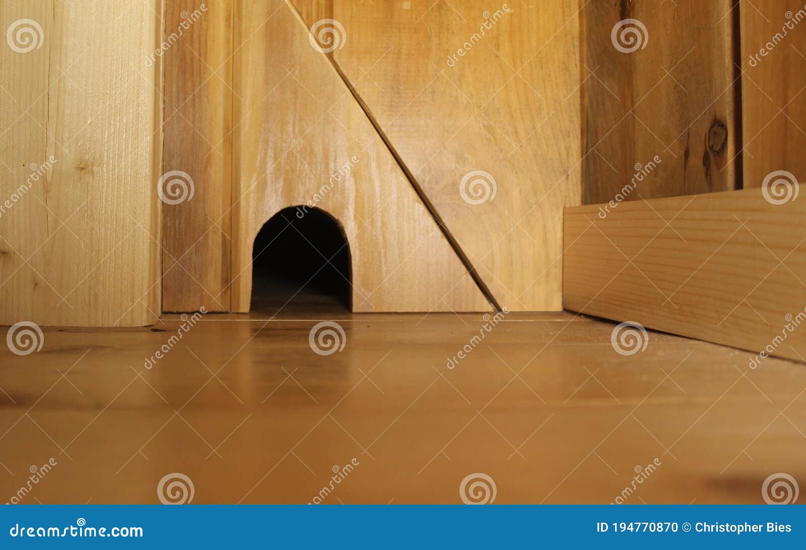Mouse Hole in a Wall Made from Wood Stock Photo - Image of great, patch ...