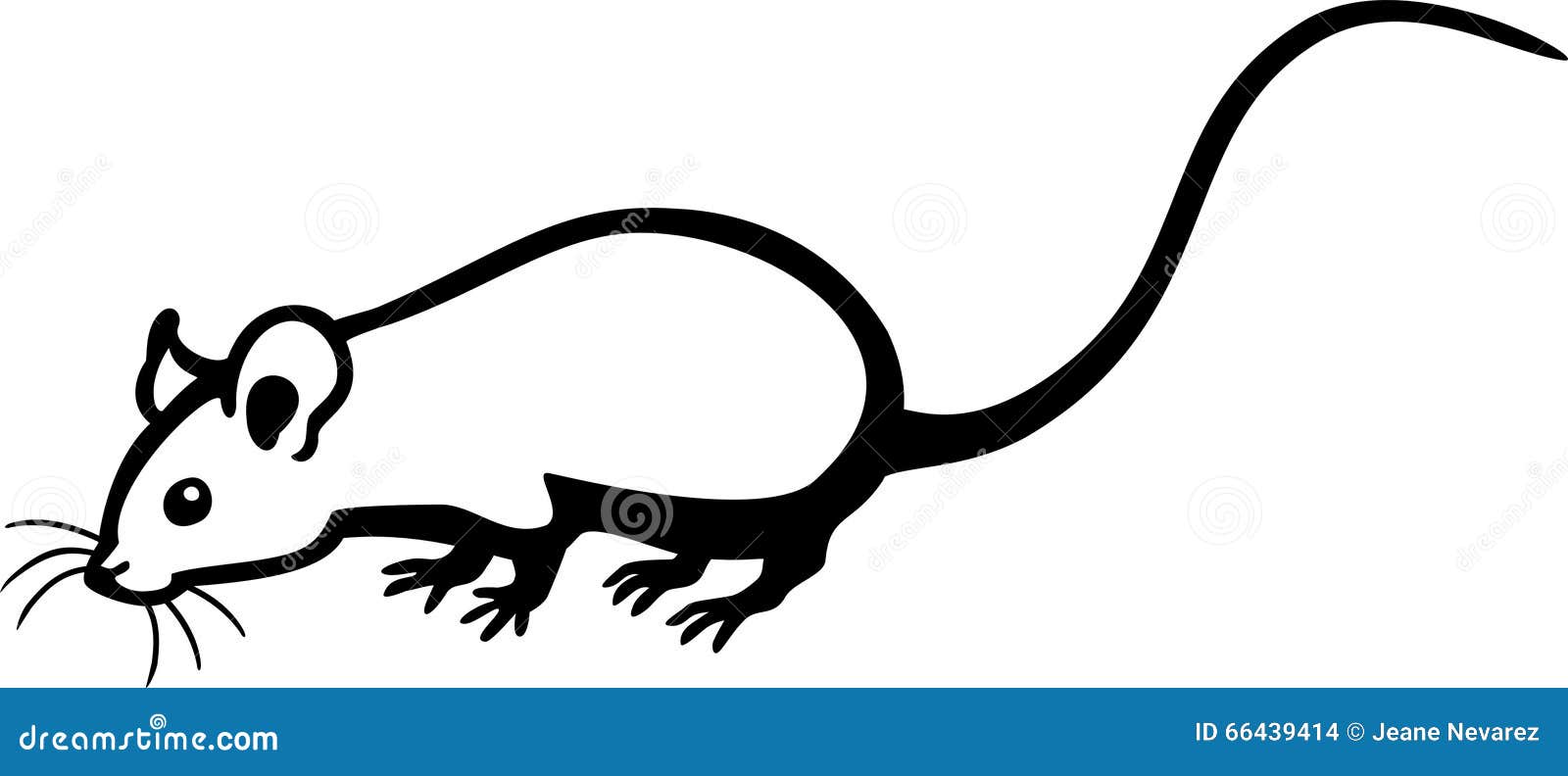 Mouse stock vector. Illustration of musculus, tail, creature - 66439414