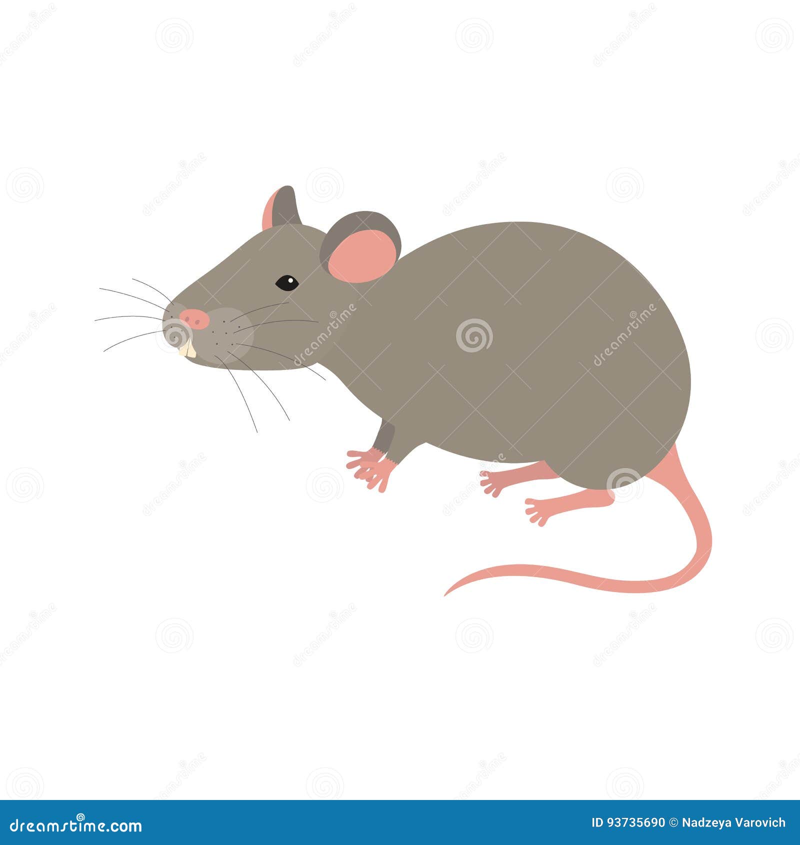 Mouse isolated on white stock vector. Illustration of sign - 93735690