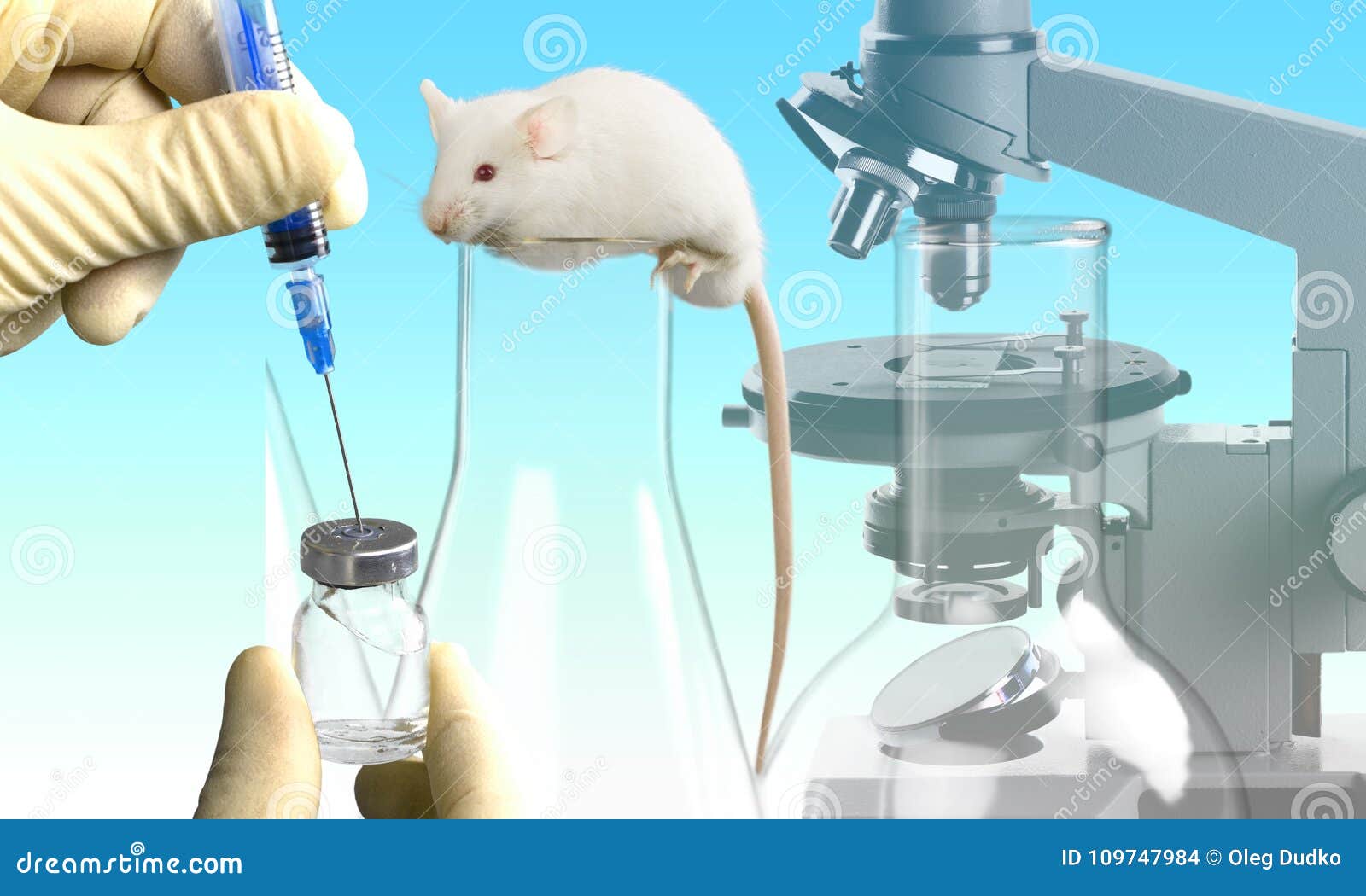 Mouse stock photo. Image of glass, mouse, biotechnology - 109747984