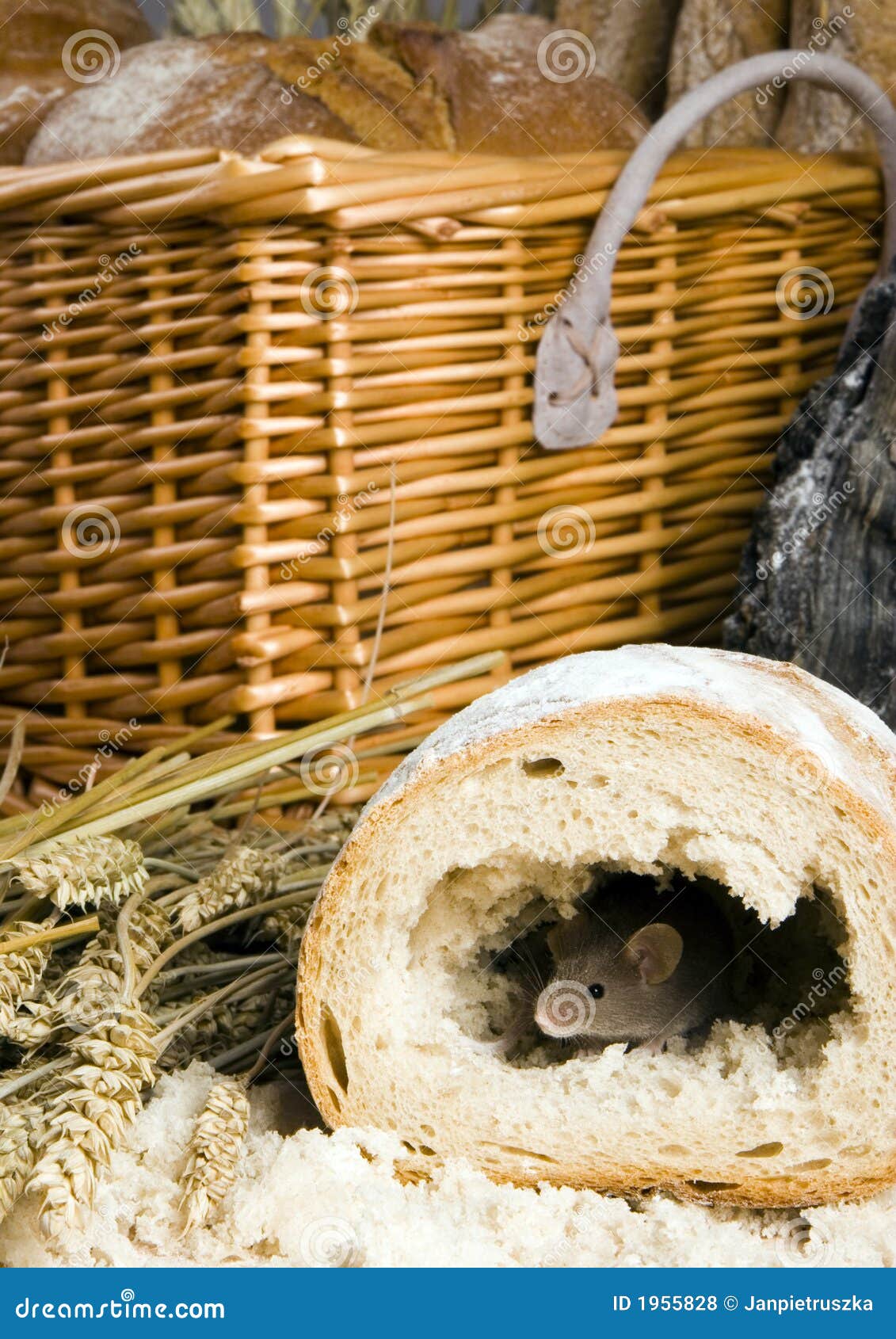 Mouse in a loaf stock photo. Image of delicious, farmer - 1955828