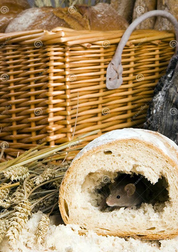 Mouse in a loaf stock photo. Image of delicious, farmer - 1955828