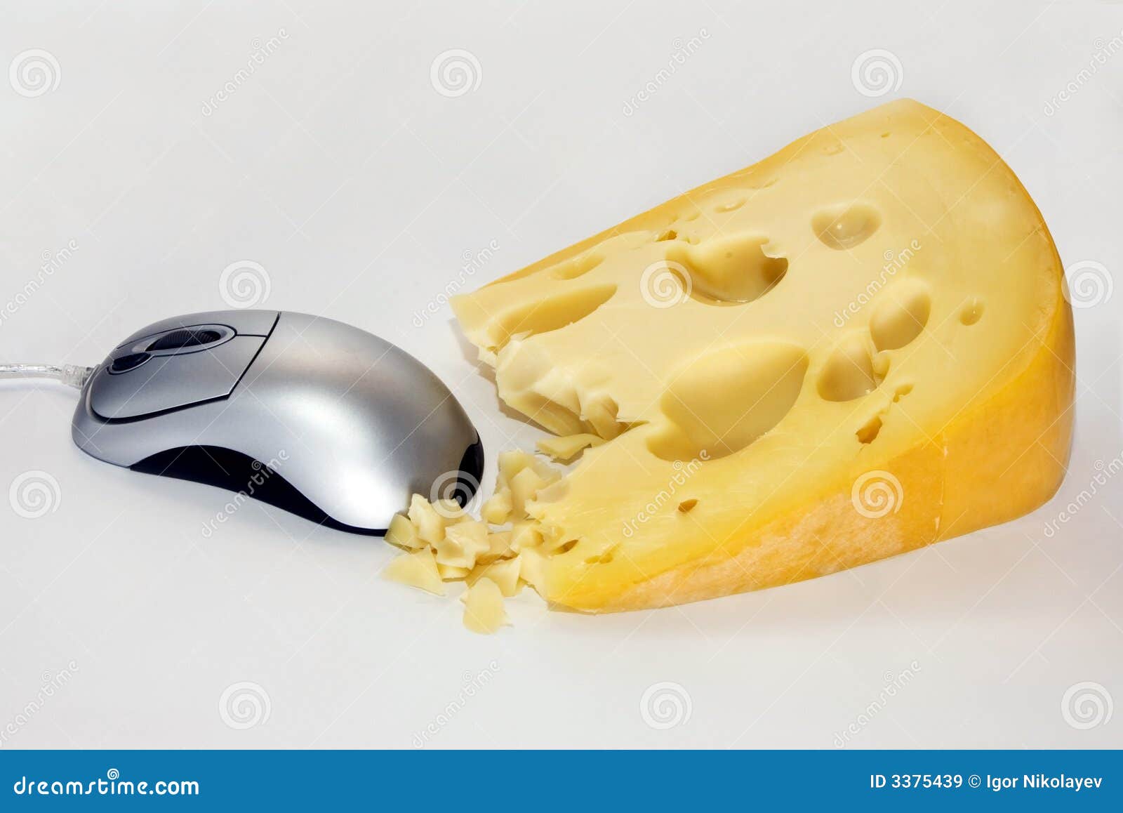 Mouse love cheese stock image. Image of mice, holiday - 3375439