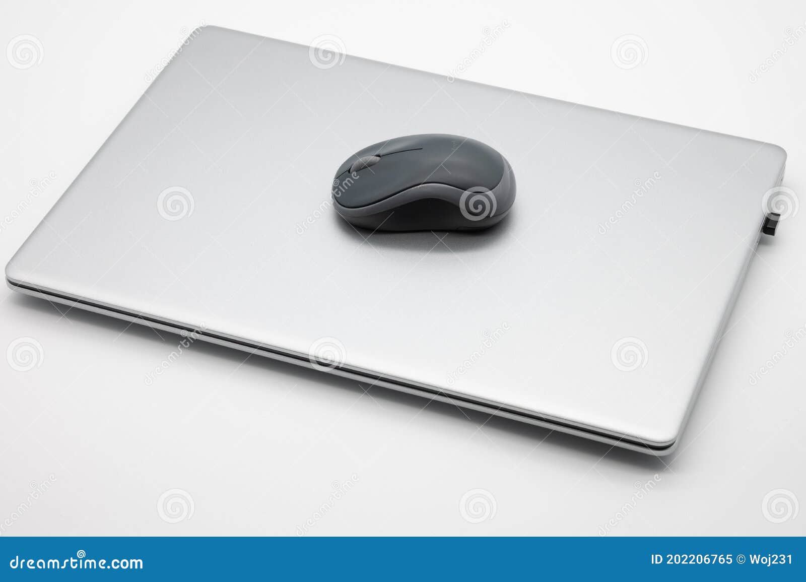Mouse lying on a laptop stock image. Image of electronics - 202206765