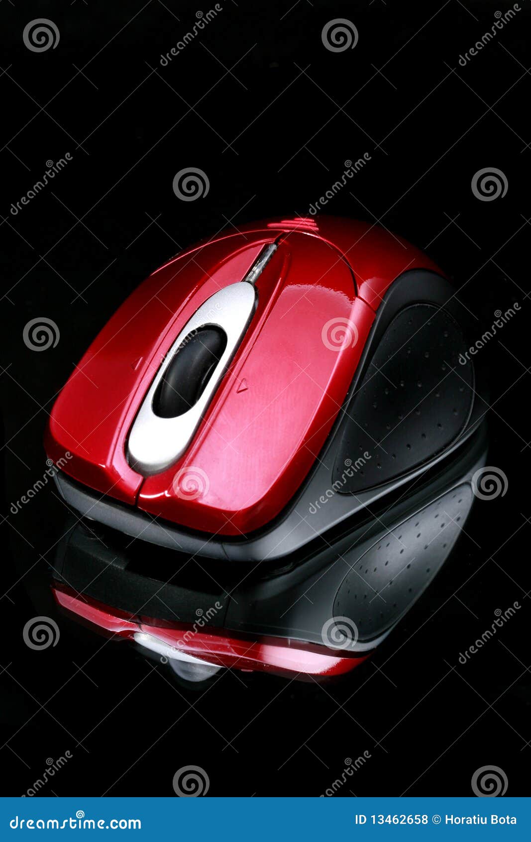 Mouse in the night stock photo. Image of dark, mouse - 13462658