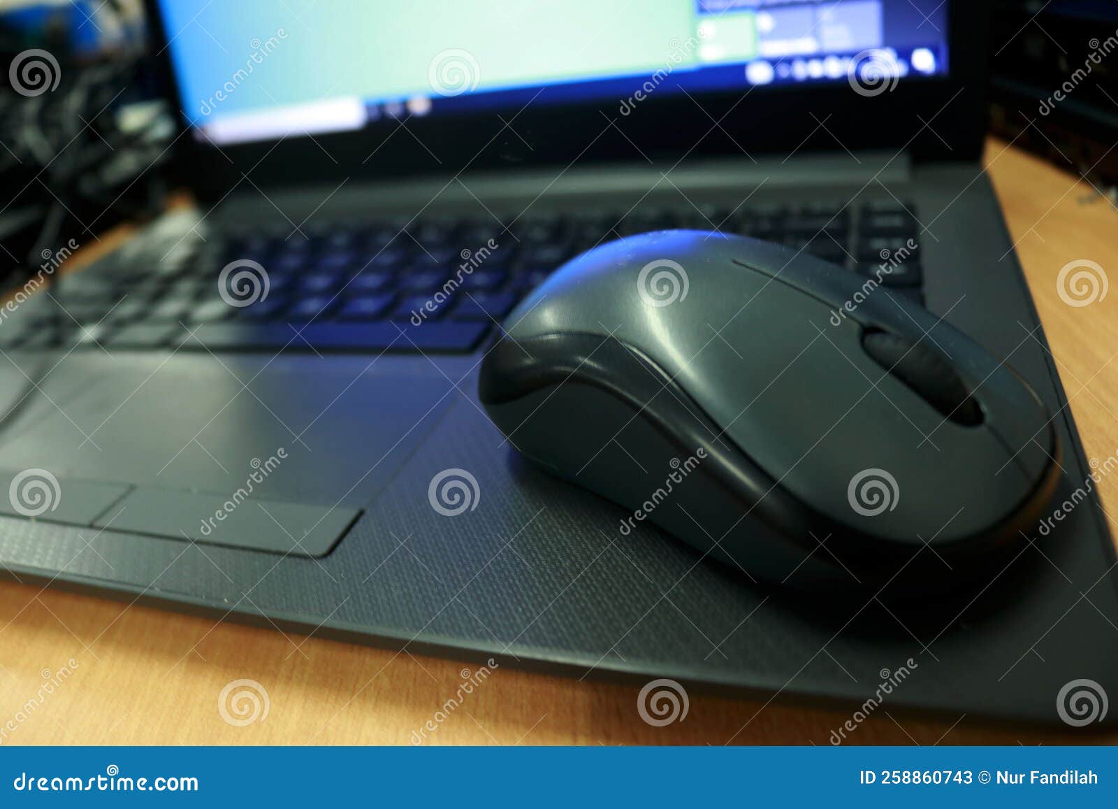 Mouse is Part of the Computer As Input for the Execution of Commands ...