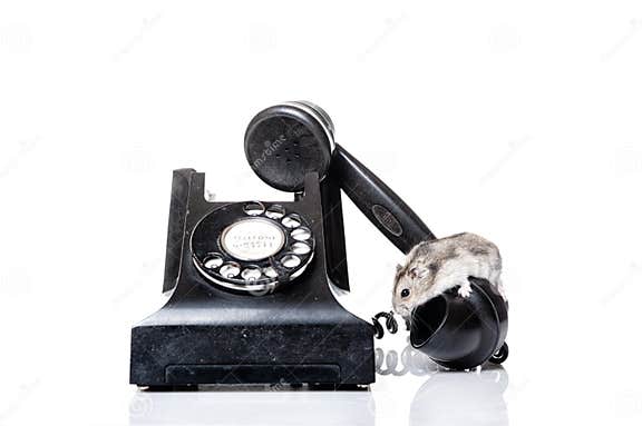 Mouse phoning stock image. Image of calling, call, dialing - 23595549
