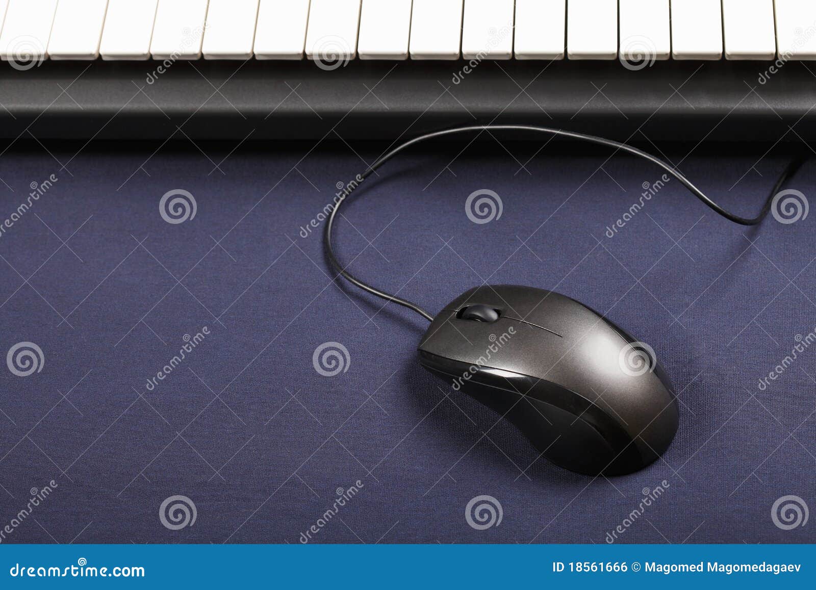Mouse and piano keyboard stock photo. Image of white - 18561666