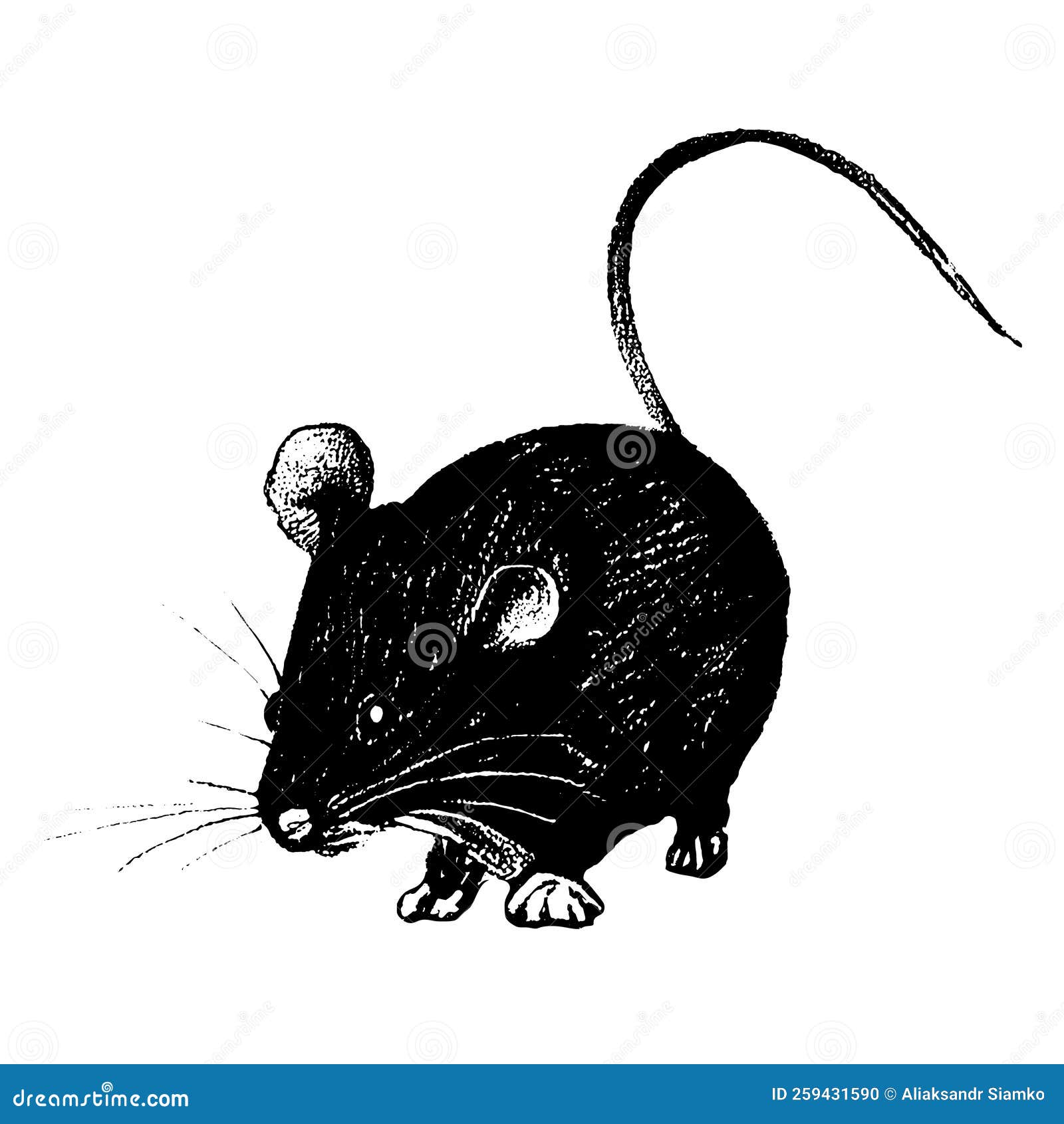 Mouse (rat), Hand Drawn Gravure Style, Vector Sketch Illustration Stock ...
