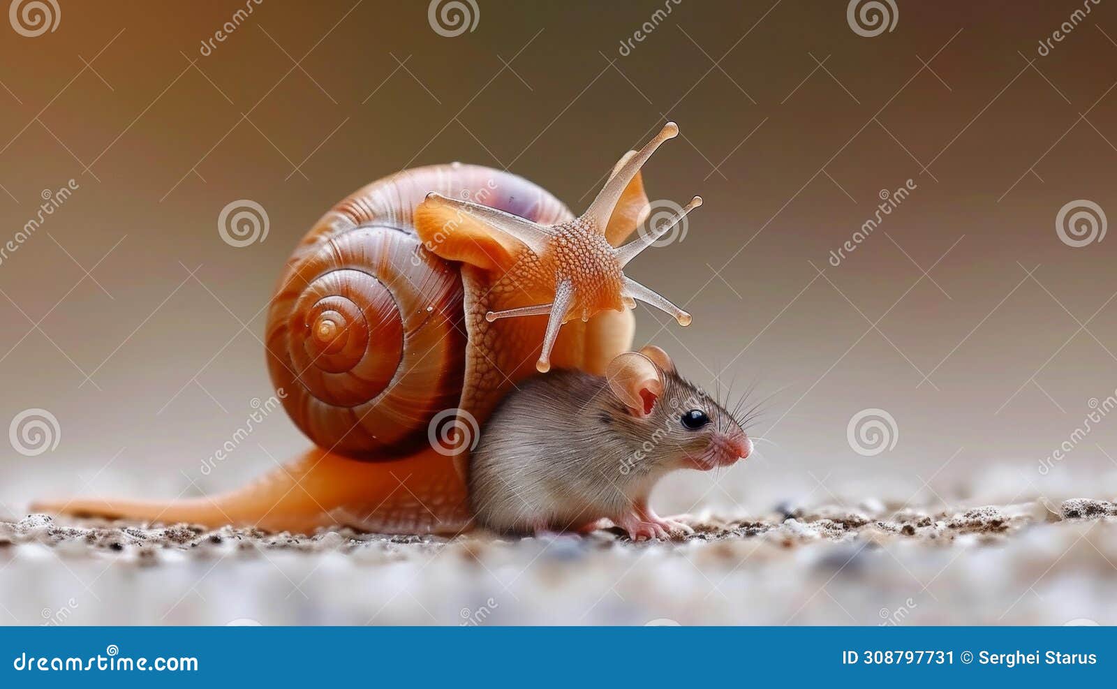 A Mouse is Riding on the Back of a Snail, AI Stock Image - Image of ...