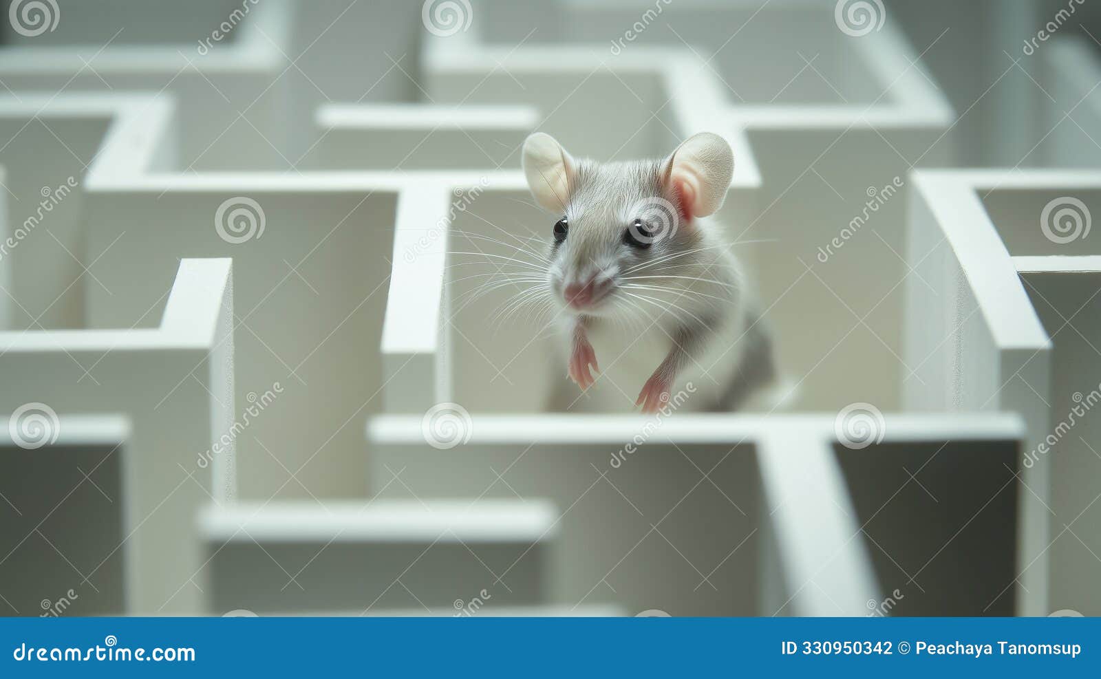 A Mouse Runs in a Maze. Generative AI Stock Illustration - Illustration ...