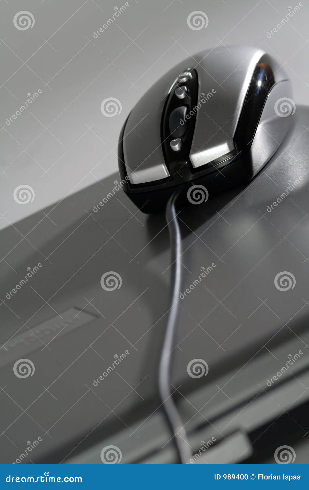 Mouse on a silver laptop stock photo. Image of mouse, information - 989400
