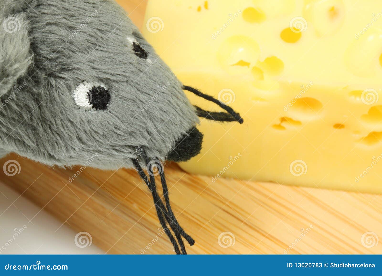 Mouse sniffing chese stock image. Image of look, inducement - 13020783