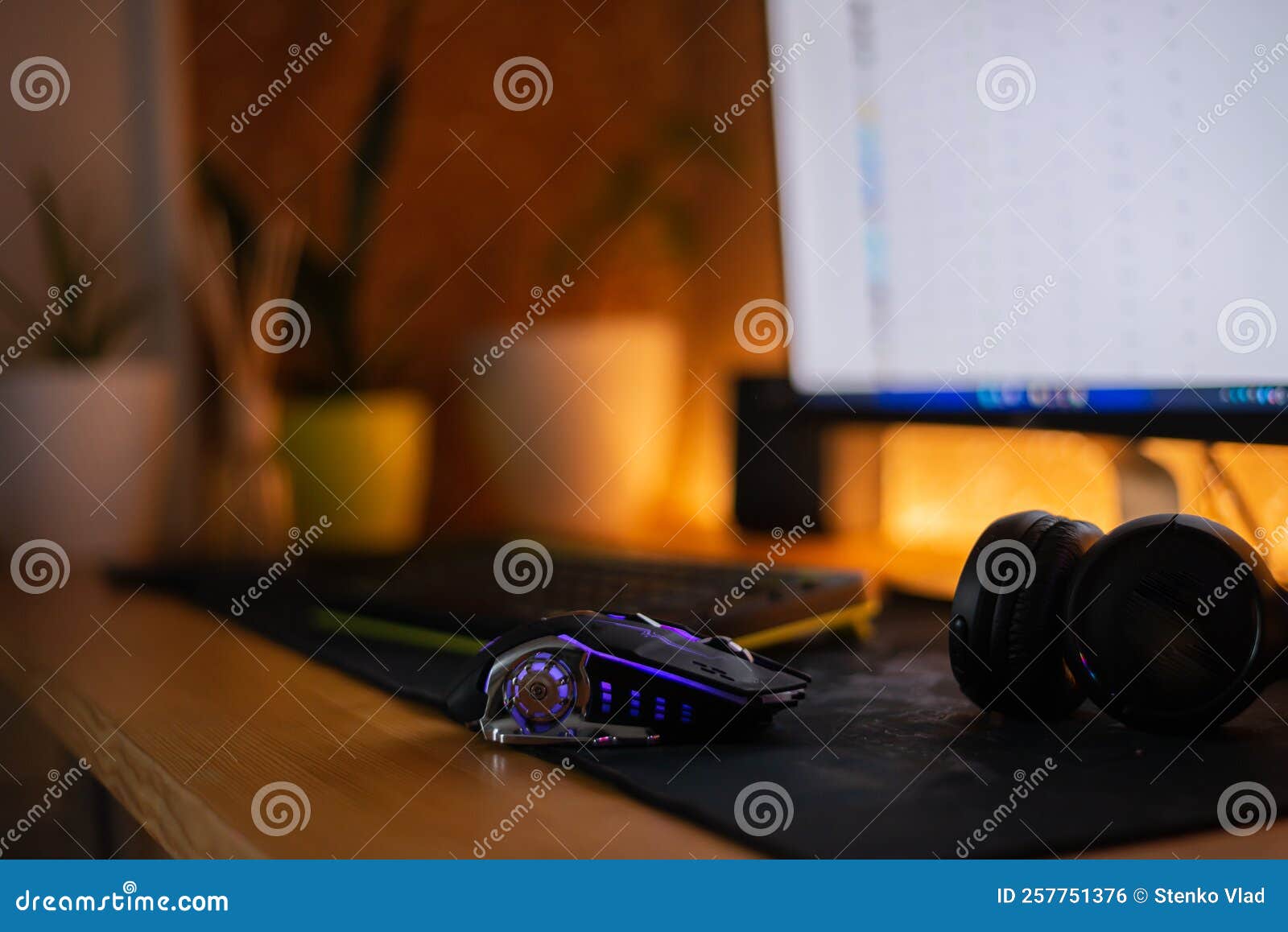 Mouse on a Table Near a Computer in a Dark Room Stock Photo - Image of ...