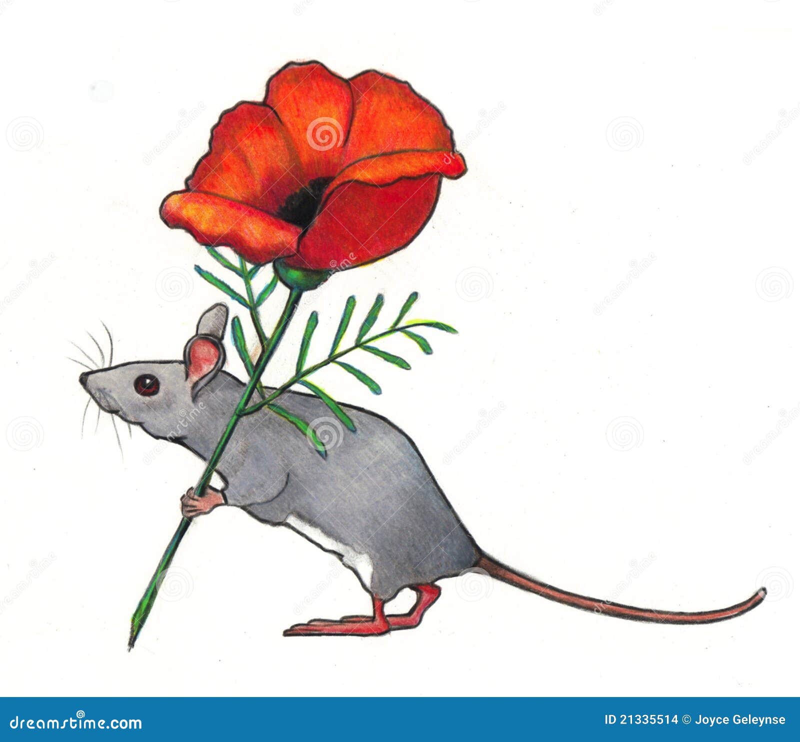 Mouse Toting Flower: Color Pencil Stock Illustration - Illustration of ...