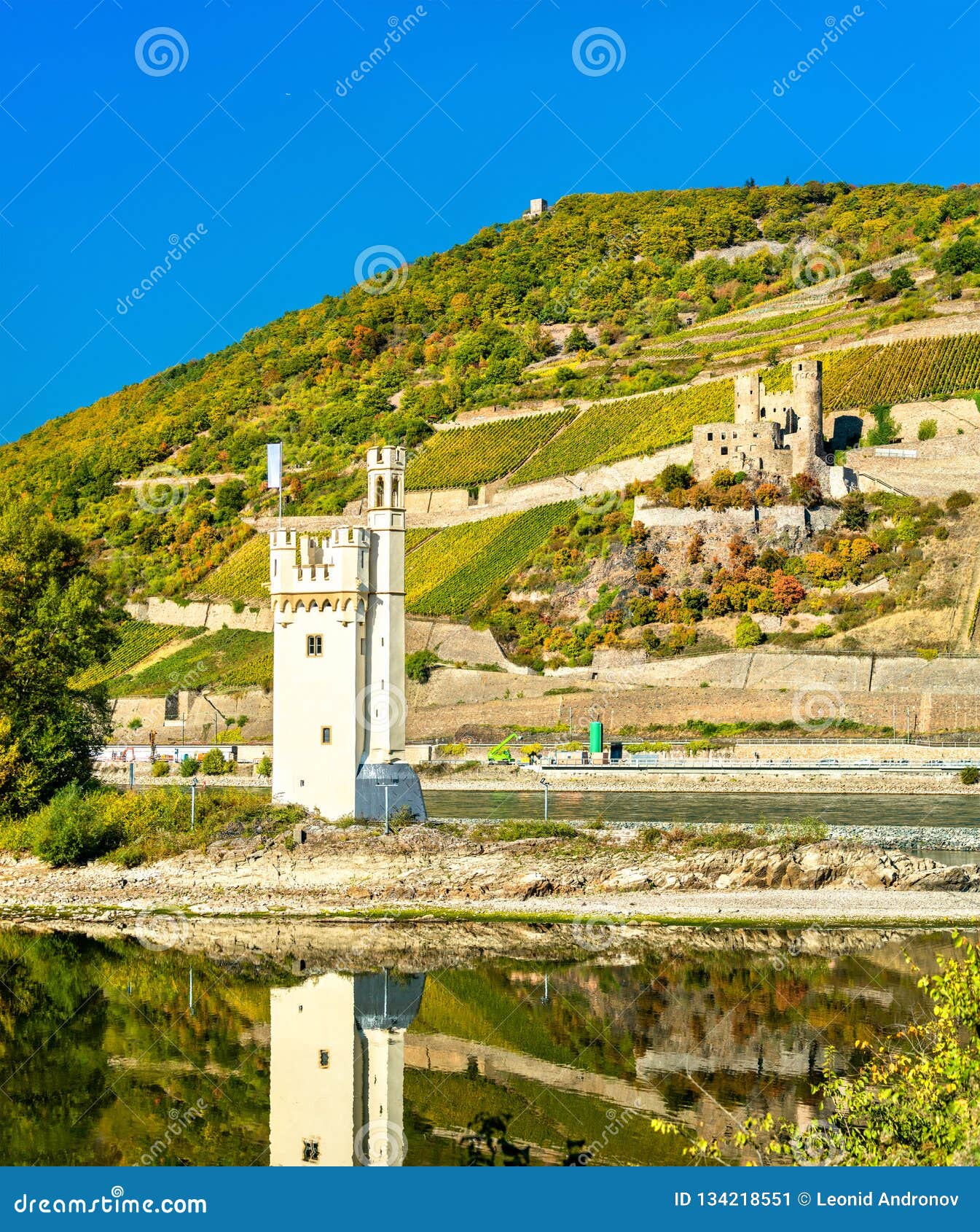 The Mouse Tower With Ehrenfels Castle On The Background. The Rhine ...