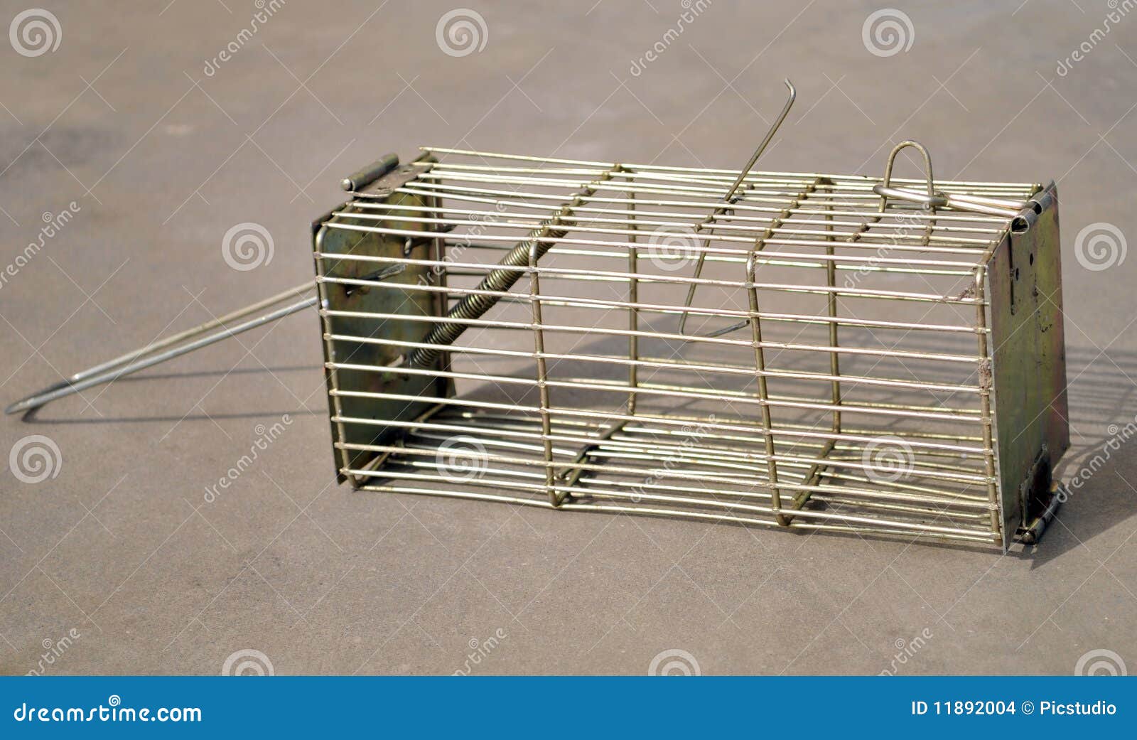 Mouse trap stock photo. Image of outdoors, shadow, still - 11892004