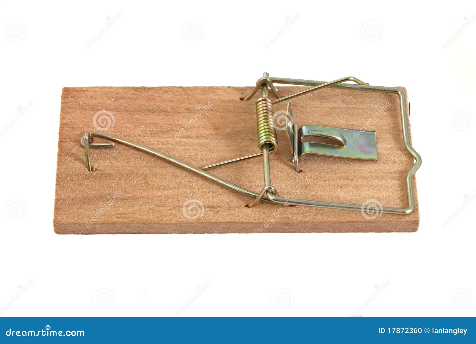 Mouse trap stock photo. Image of exterminator, surprise - 17872360