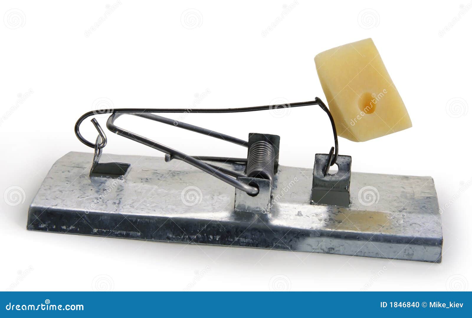 Mouse trap stock photo. Image of bribing, danger, murder - 1846840